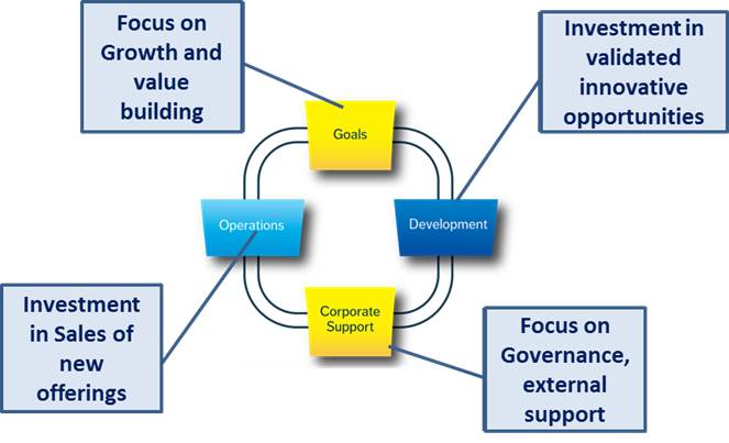 The Analytical CEO – Running a Growth Company | Voyager Strategies
